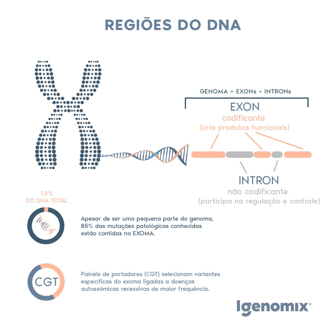 Diferença entre EXOMA e GENOMA: Os testes genéticos mais amplos